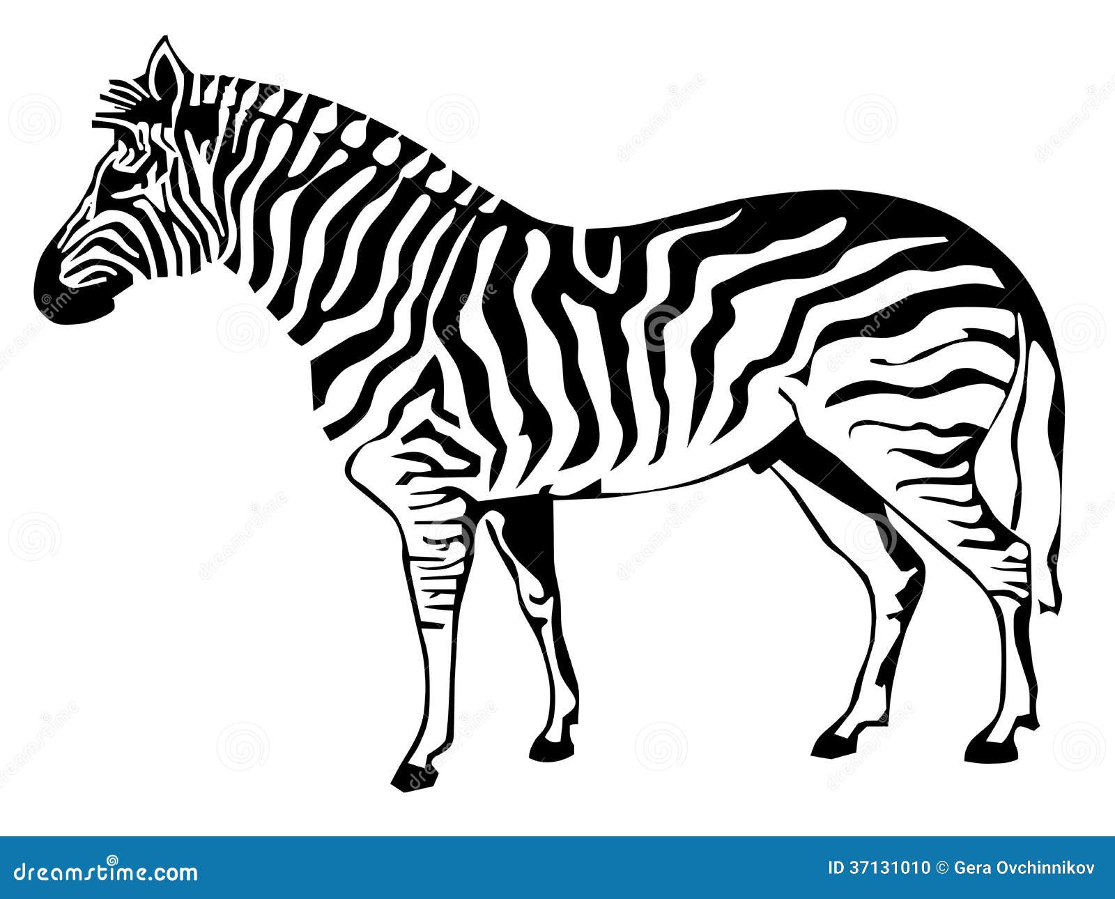 Sebra stock illustrationer. Illustration av utformning - 37131010