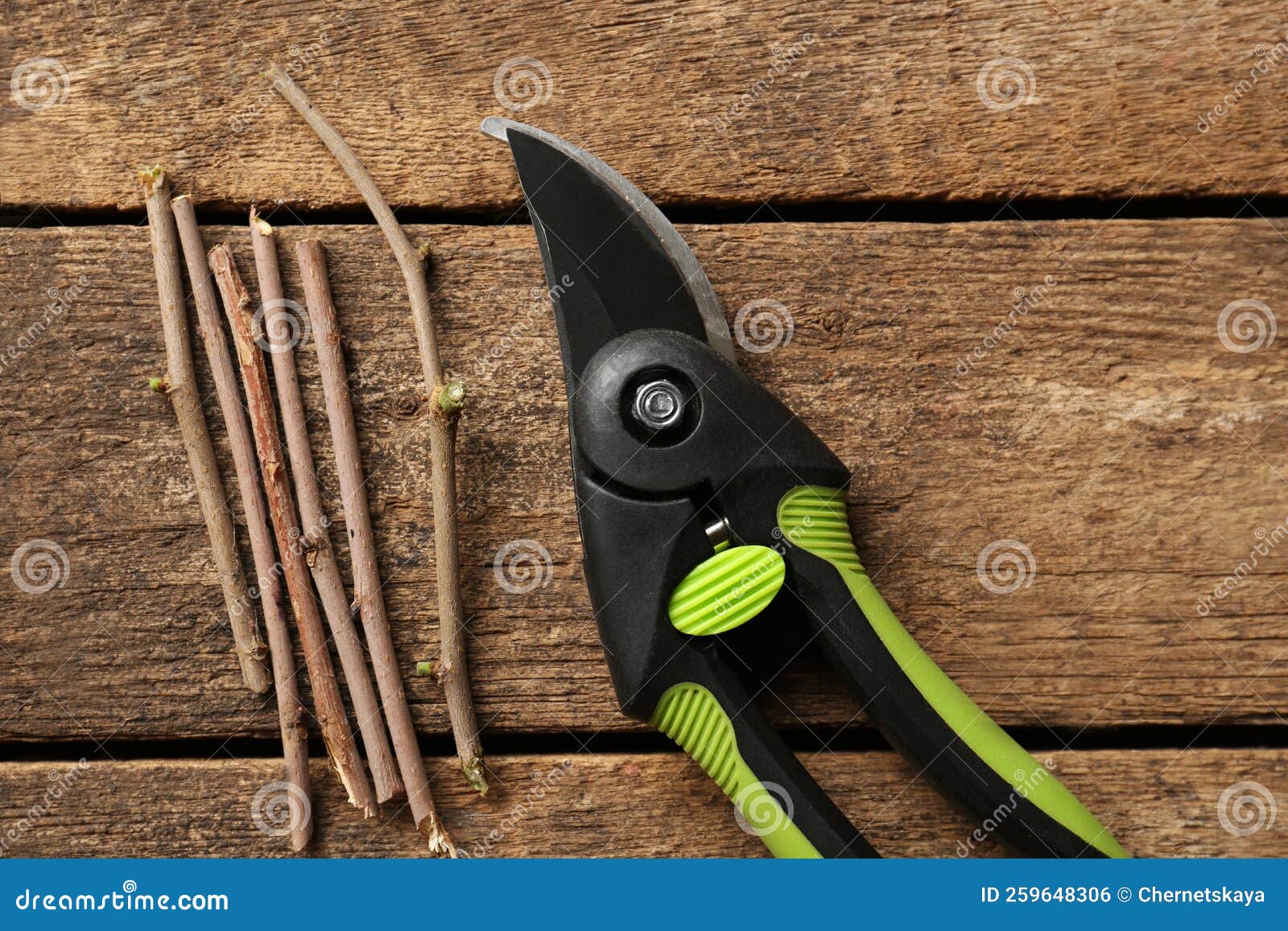 Secateur with Wooden Twigs on Table, Flat Lay Stock Photo - Image of ...