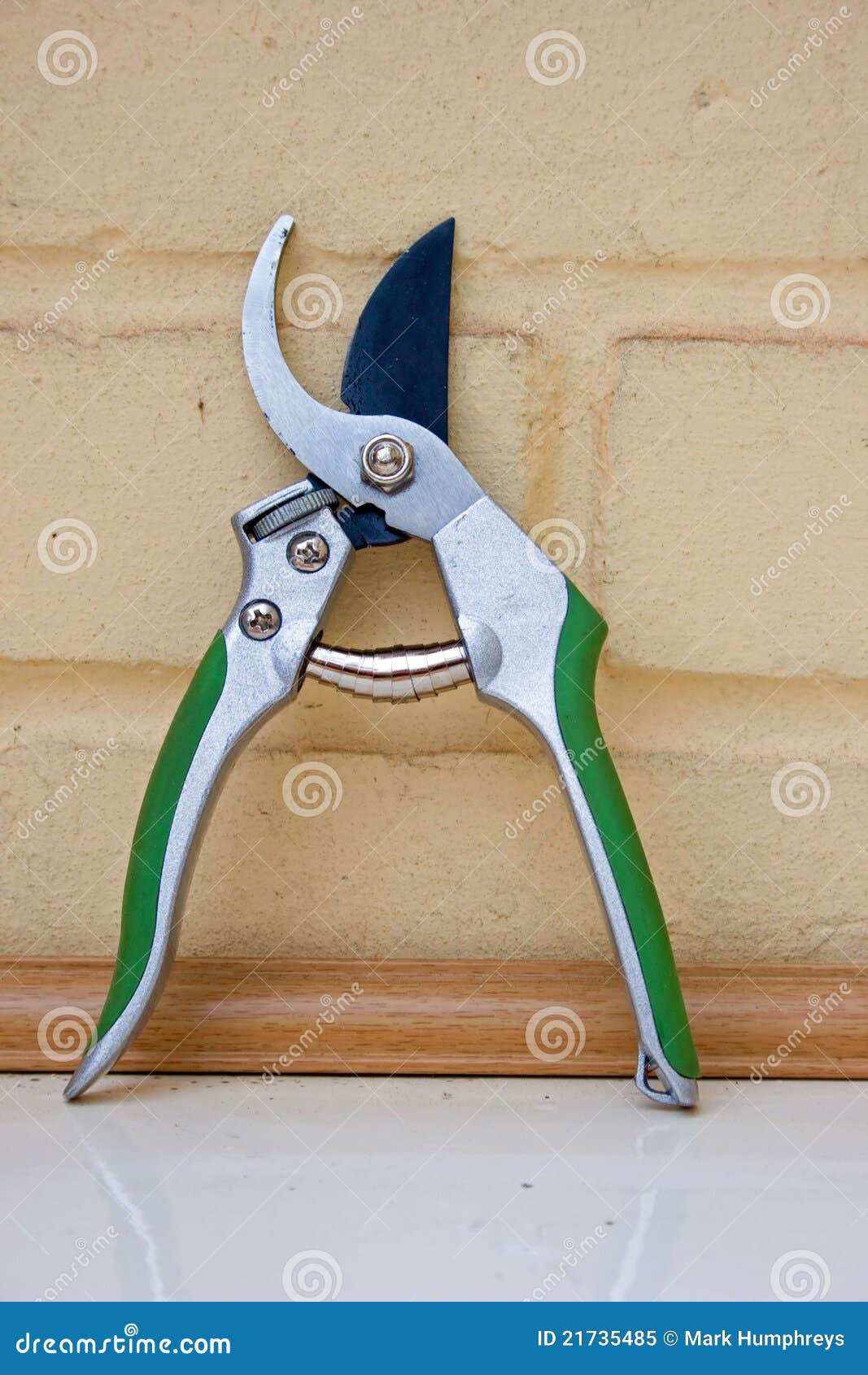 Secateurs stock image. Image of shrubs, fingers, autumn - 21735485