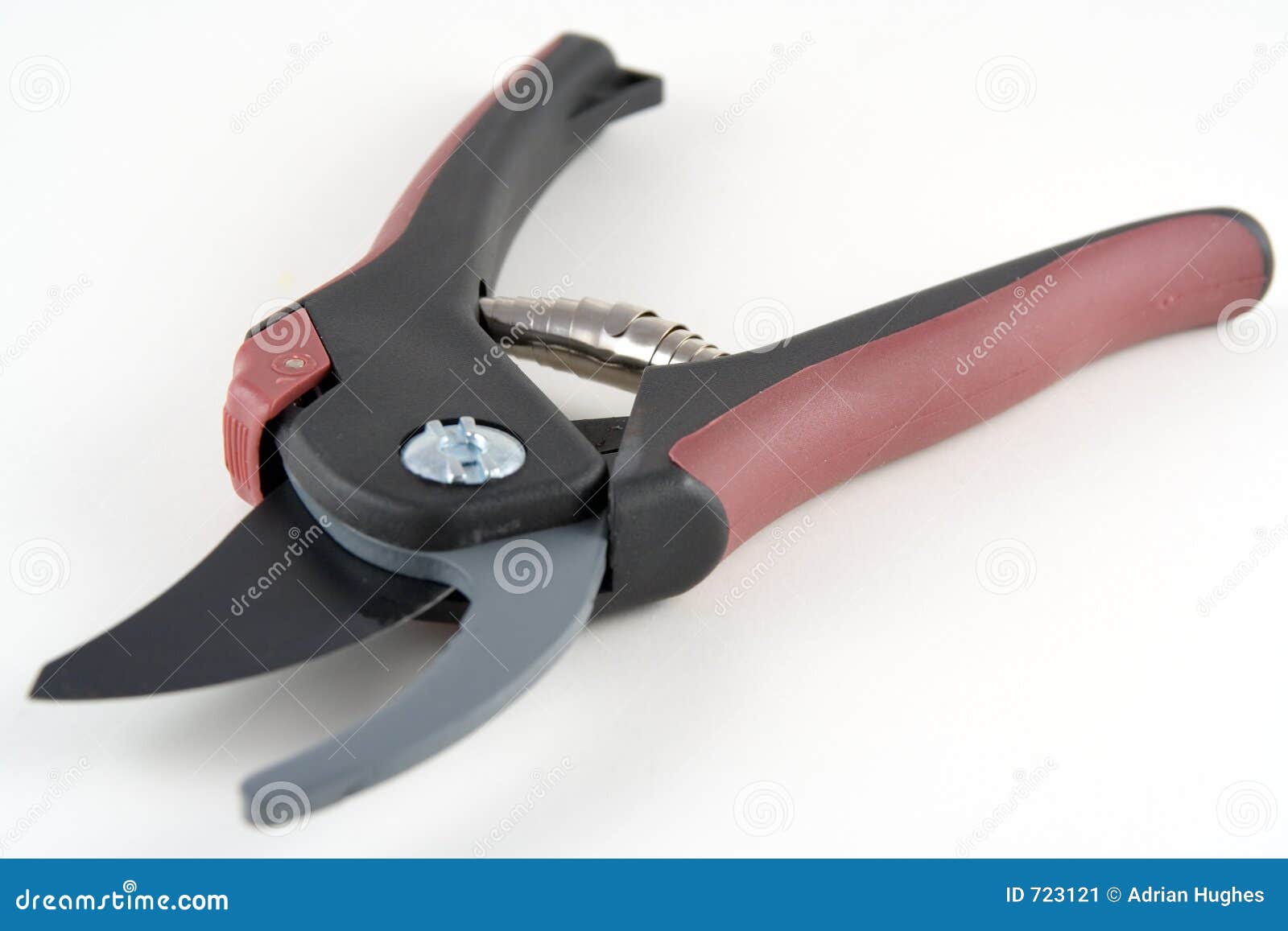 Secateurs stock image. Image of flower, bush, chop, tree - 723121