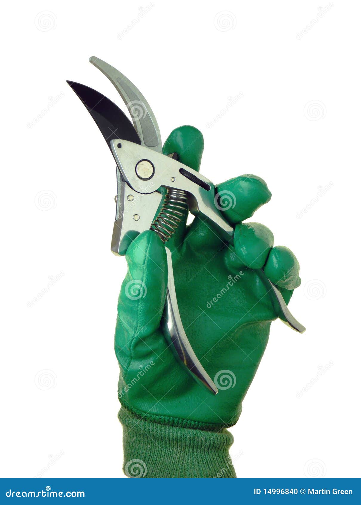 Secateurs in Hand stock photo. Image of garden, gardener - 14996840