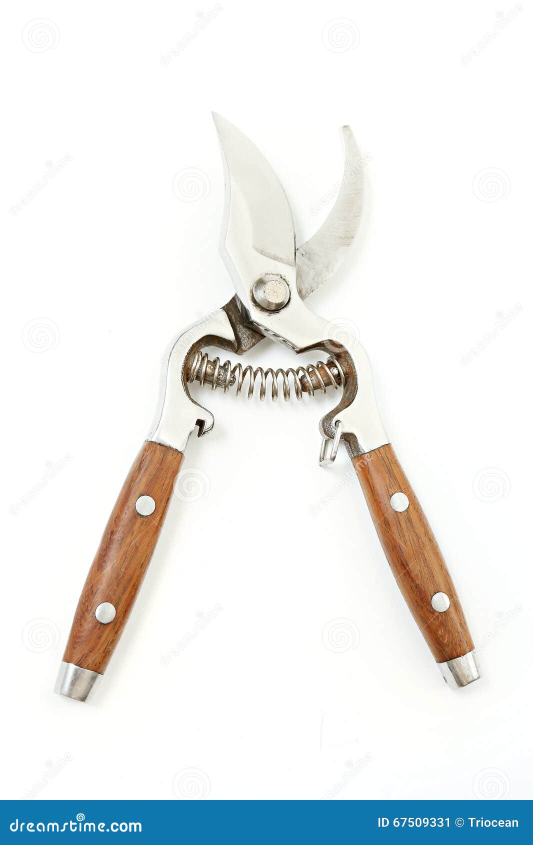 Secateurs on White Background Stock Image - Image of hobby, white: 67509331