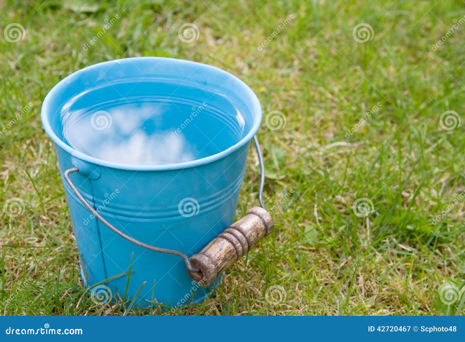 Secchio blu di acqua immagine stock. Immagine di erba - 42720467