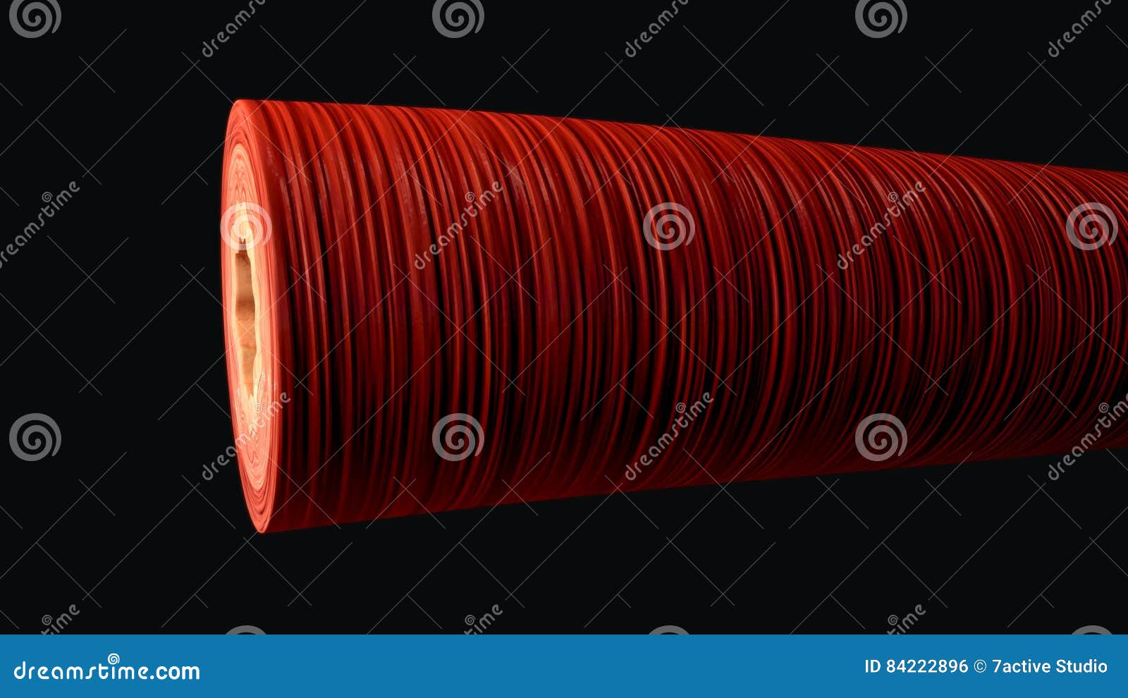 Sección de la vena foto de archivo. Imagen de fondo, salud - 84222896