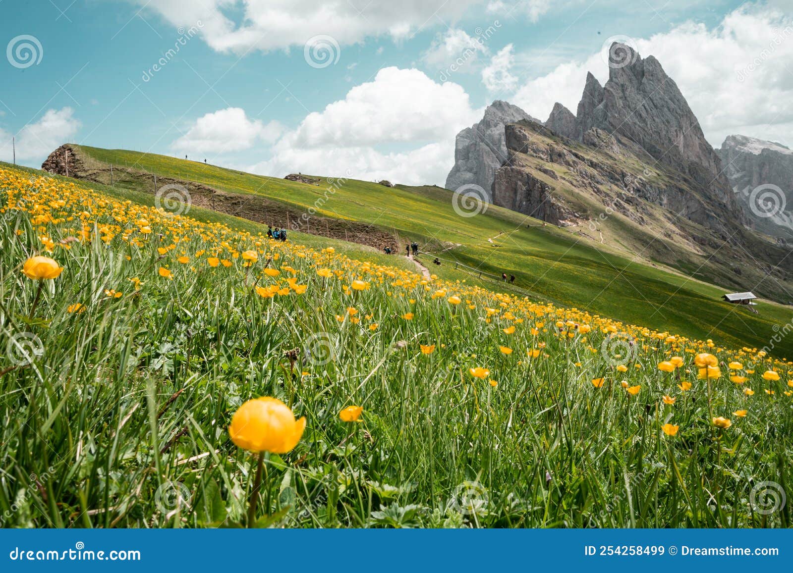 Seceda Dolomites stock image. Image of peak, alps, dolomiti - 254258499