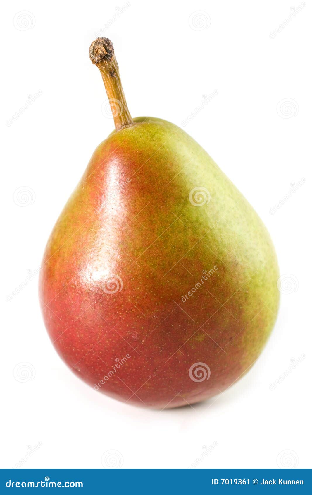 Seckel Pear stock image. Image of nutrition, seckle, healthy - 7019361
