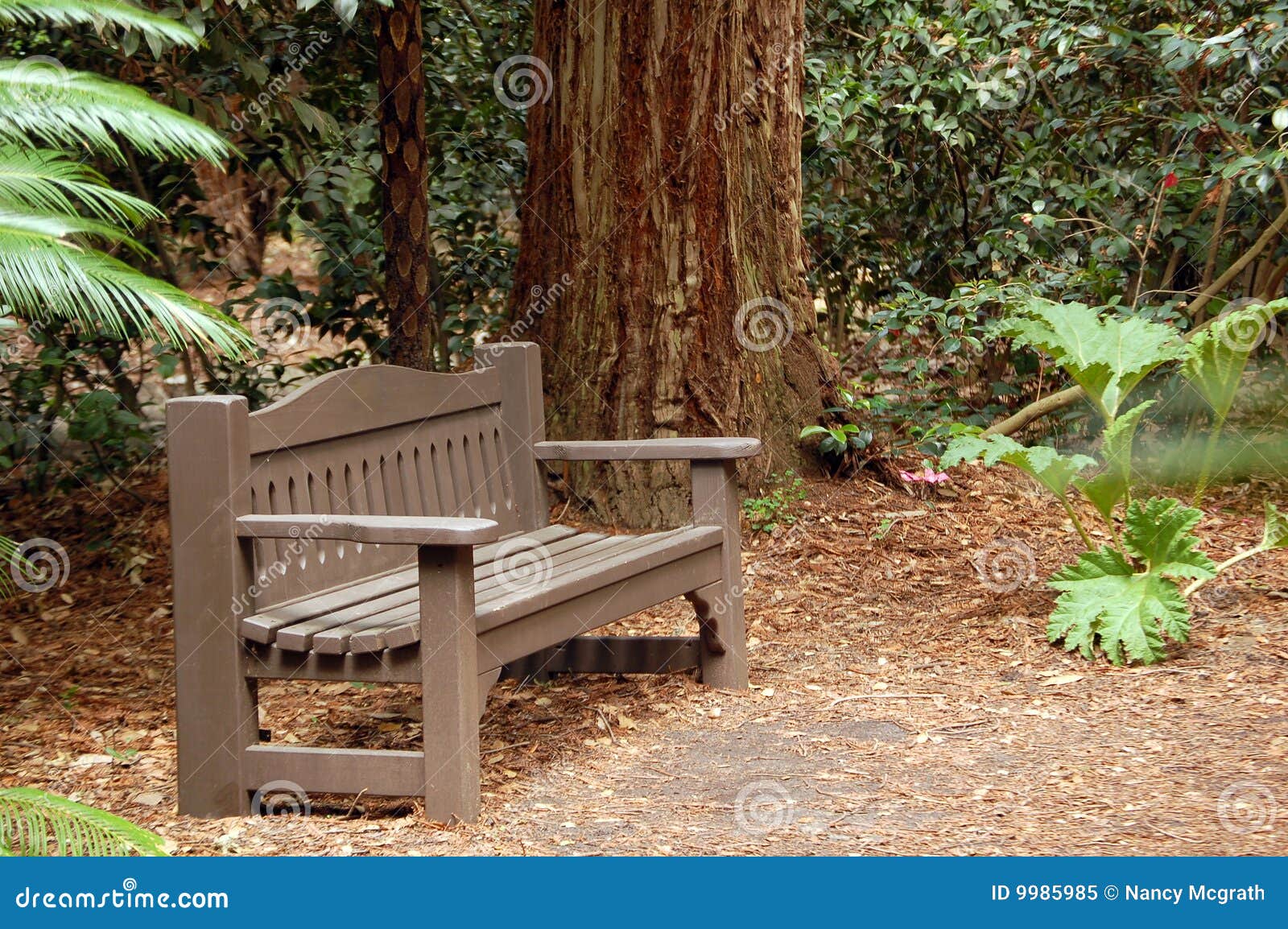 Secluded bench stock image. Image of botanic, chair, relaxation - 9985985