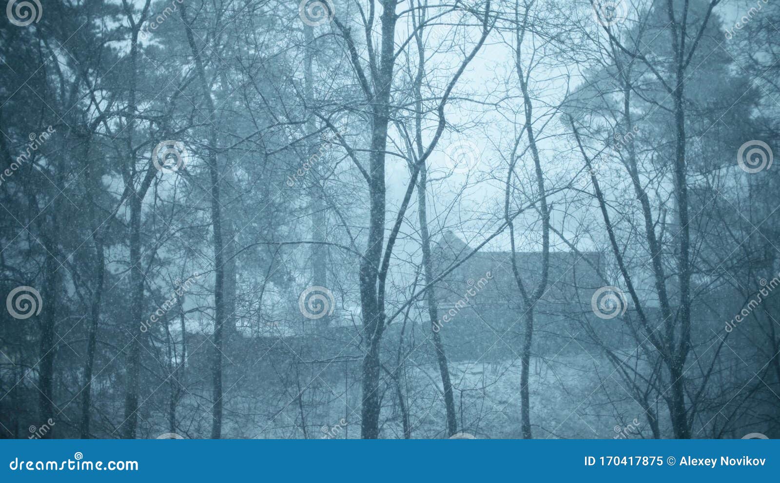 Secluded Cabin in the Woods in Heavy Snowfall Stock Image - Image of ...
