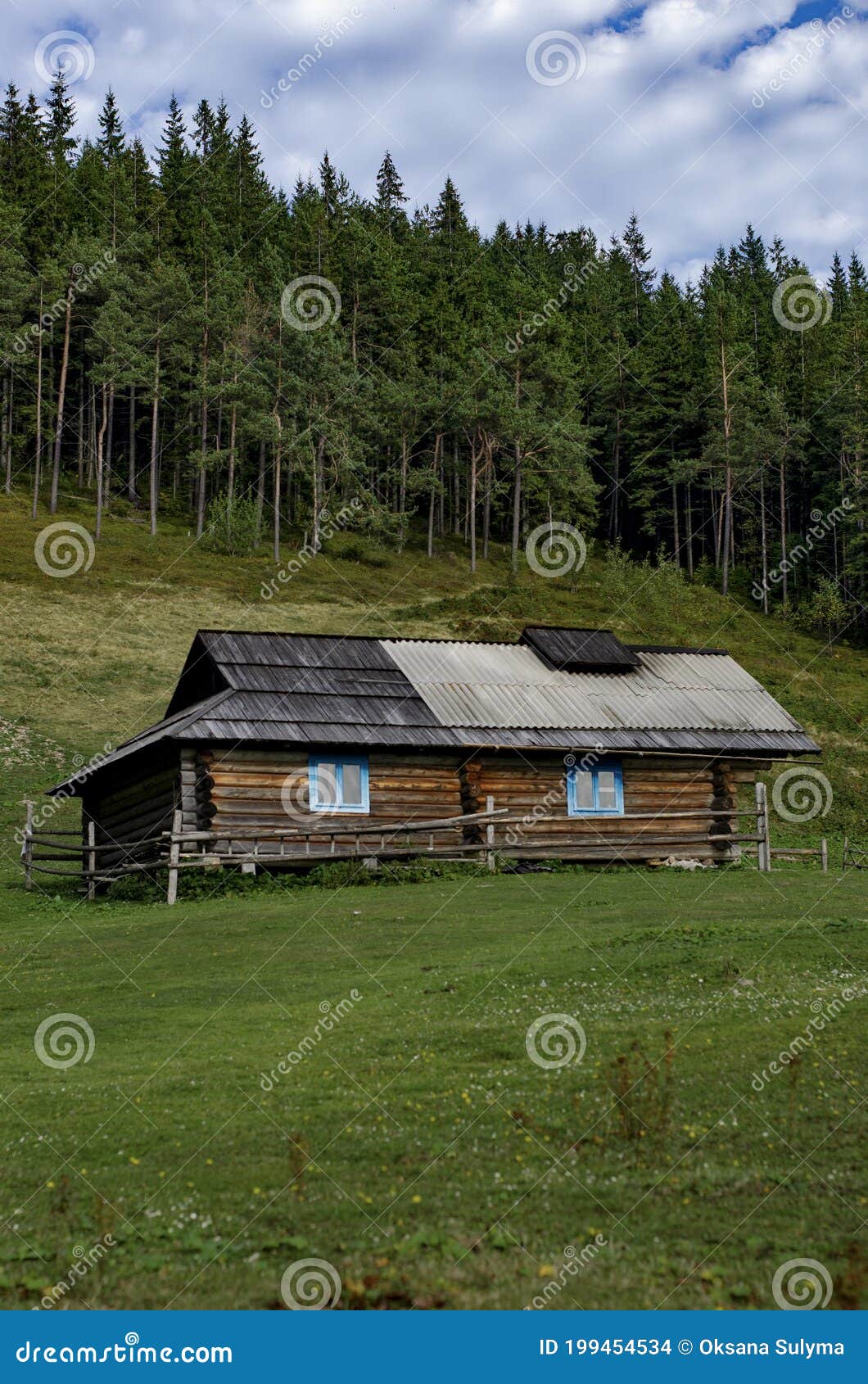 Secluded Cabin in the Woods Stock Photo - Image of park, meadow: 199454534