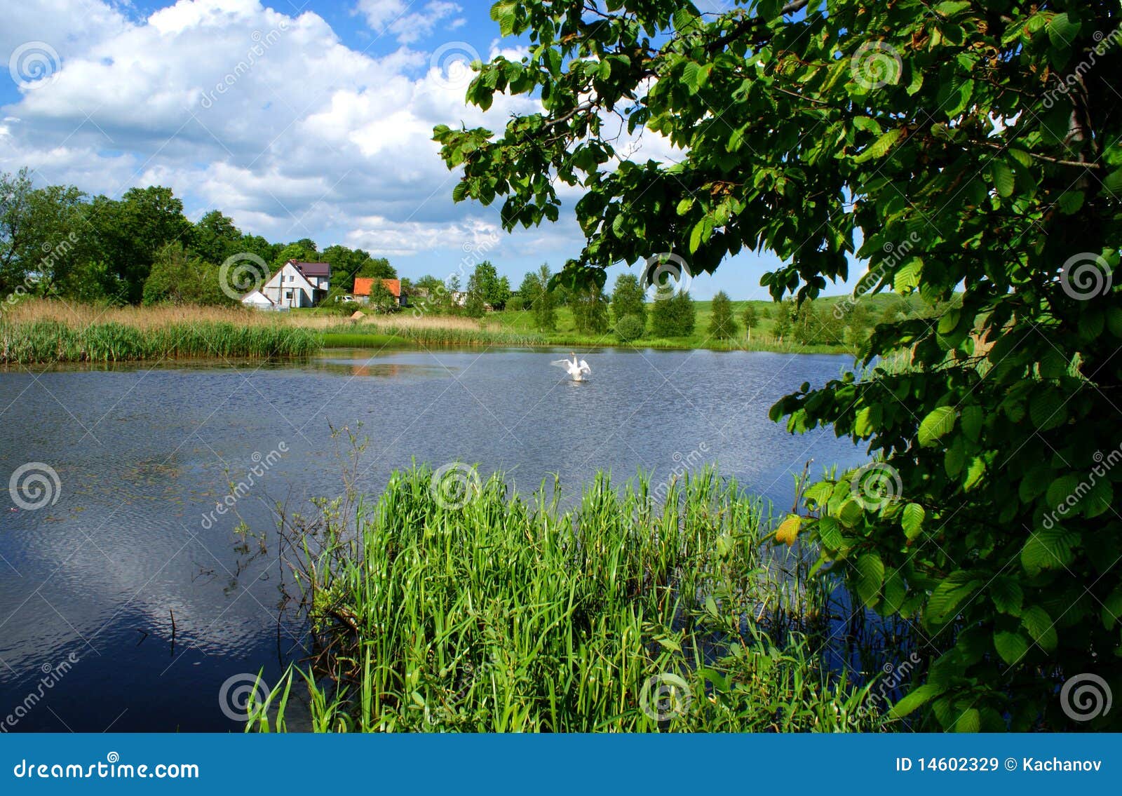 Secluded lake. stock image. Image of blue, rural, green - 14602329