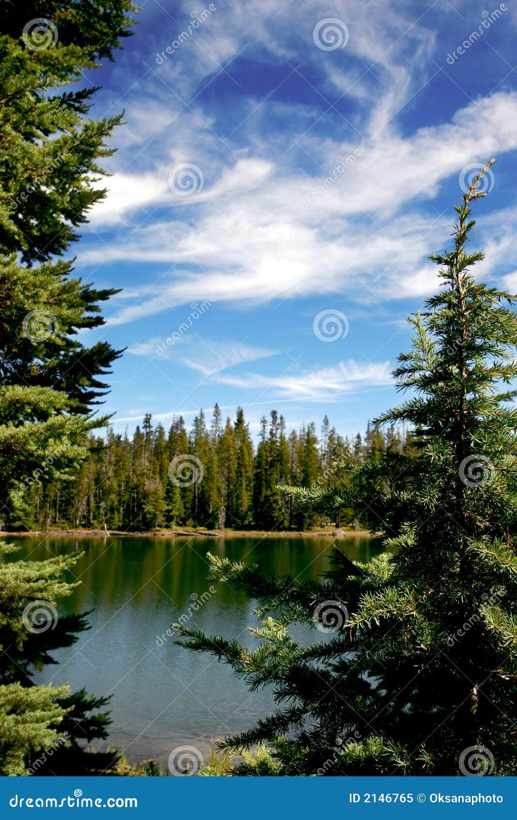 Secluded lake stock image. Image of oregon, mirror, scenery - 2146765