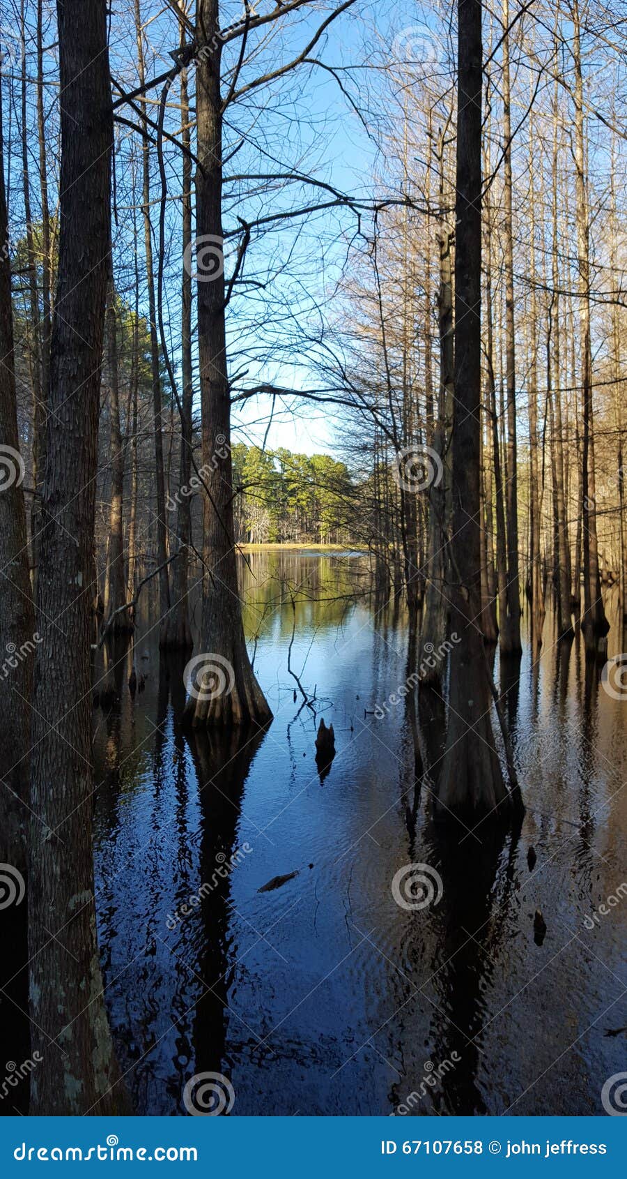 Secluded lake stock photo. Image of trees, secluded, vista - 67107658
