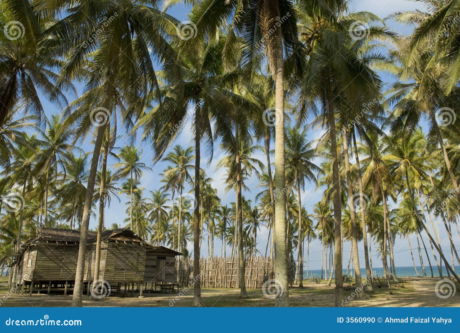 A Secluded Old Wooden House am Stock Photo - Image of paradise, color ...