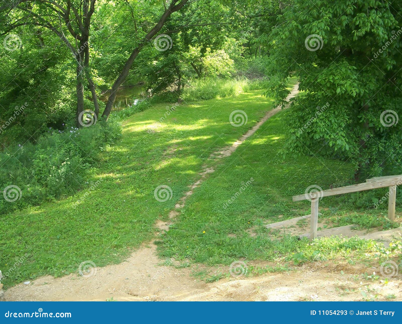 Secluded Path stock image. Image of country, nature, trek - 11054293