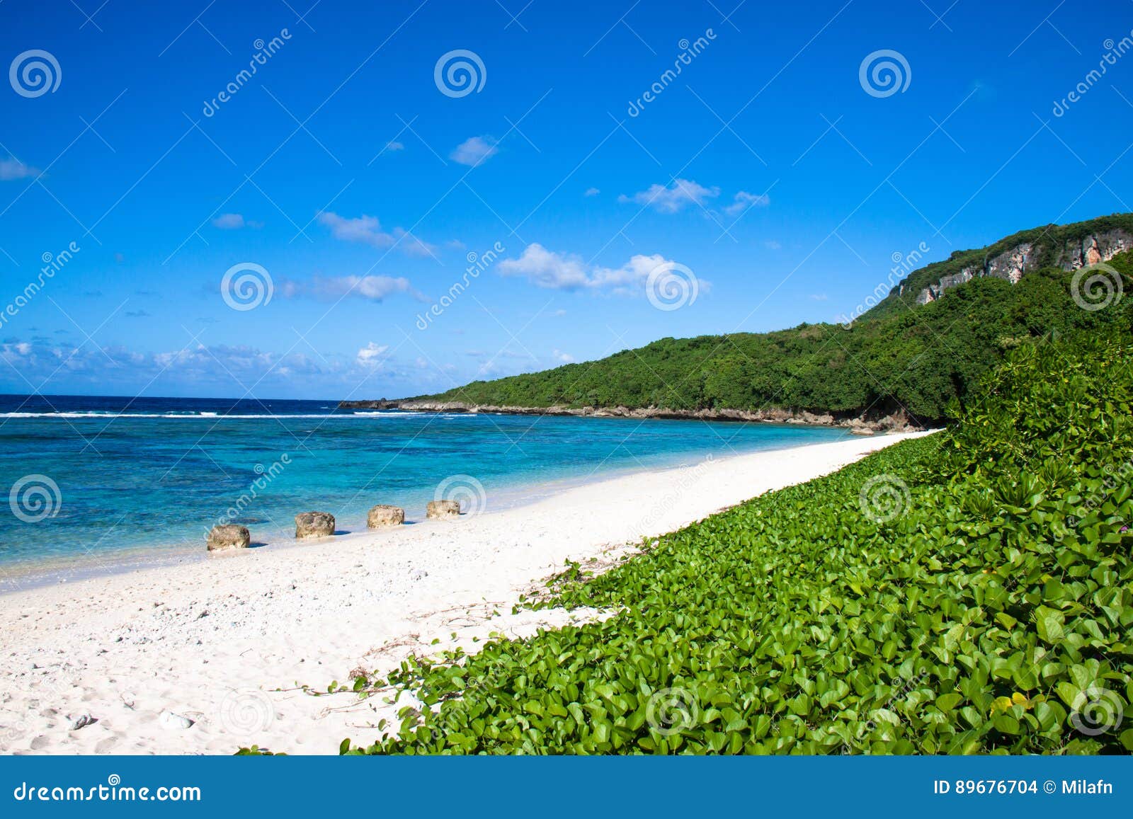 A Secluded Sandy Beach Covered with Greenery. Stock Photo - Image of ...