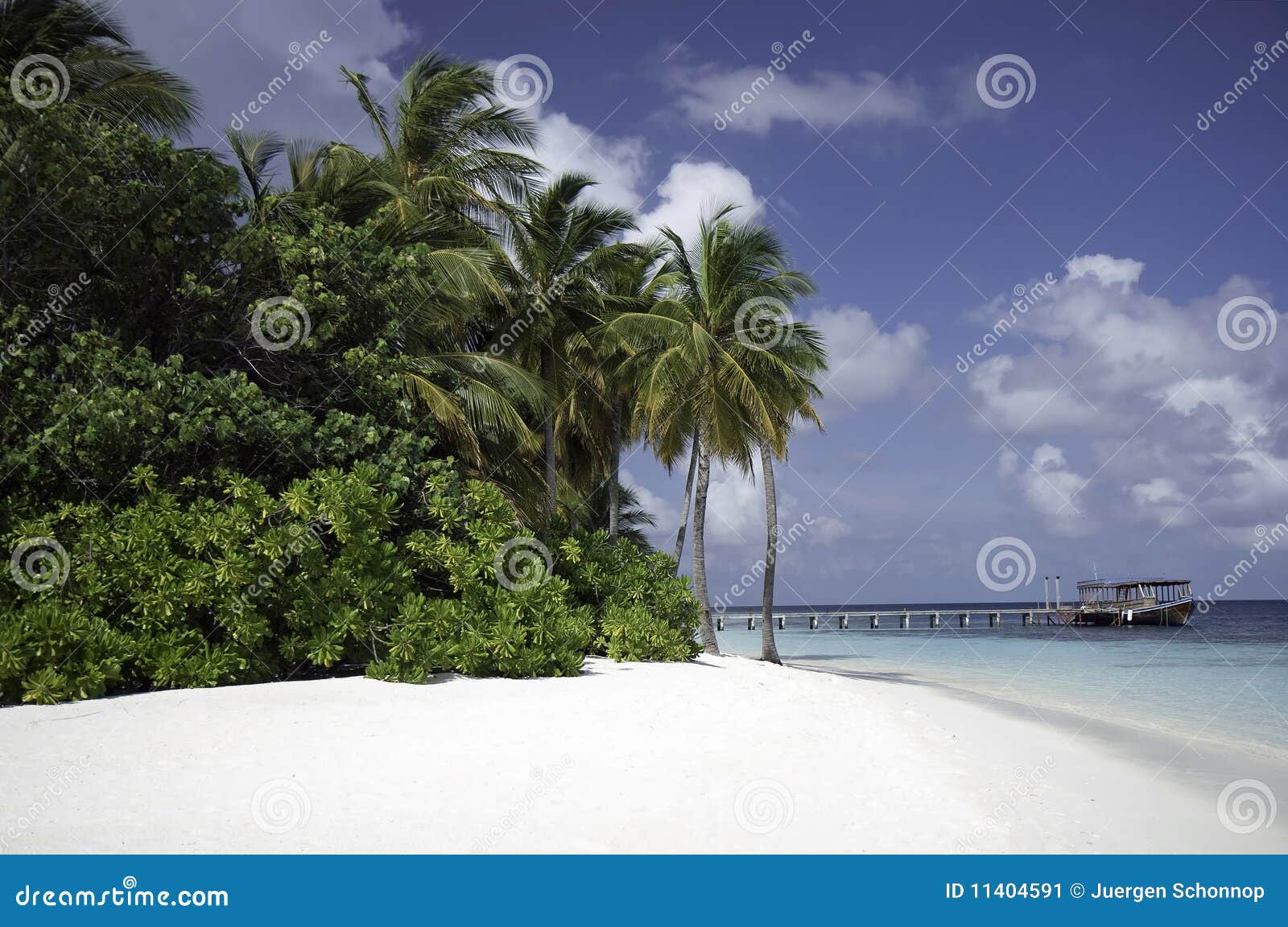 Secluded Tropical Beach Turquoise Transparent Water Palm Trees, Bai Om ...