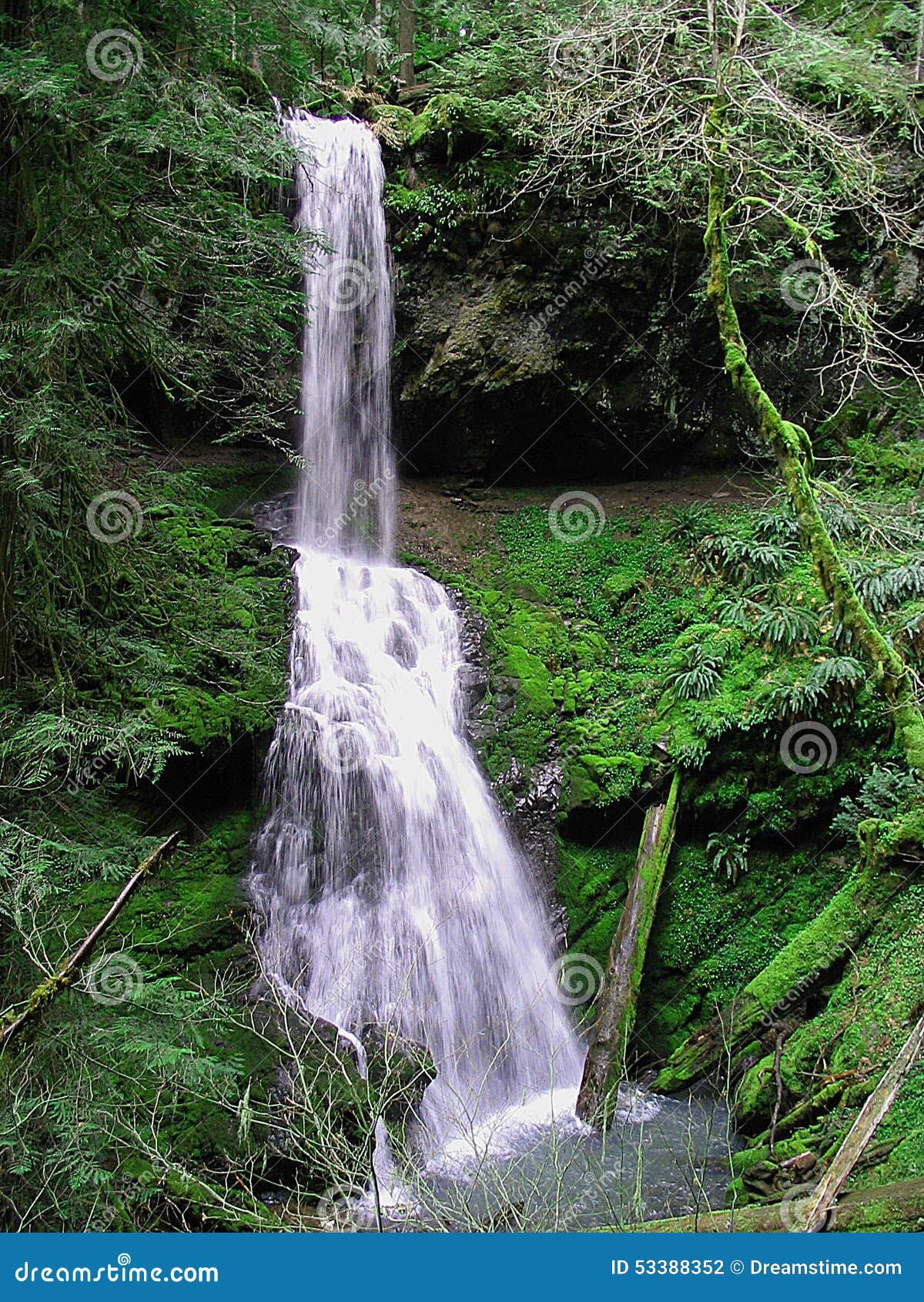Secluded Waterfall stock photo. Image of cascading, nature - 53388352