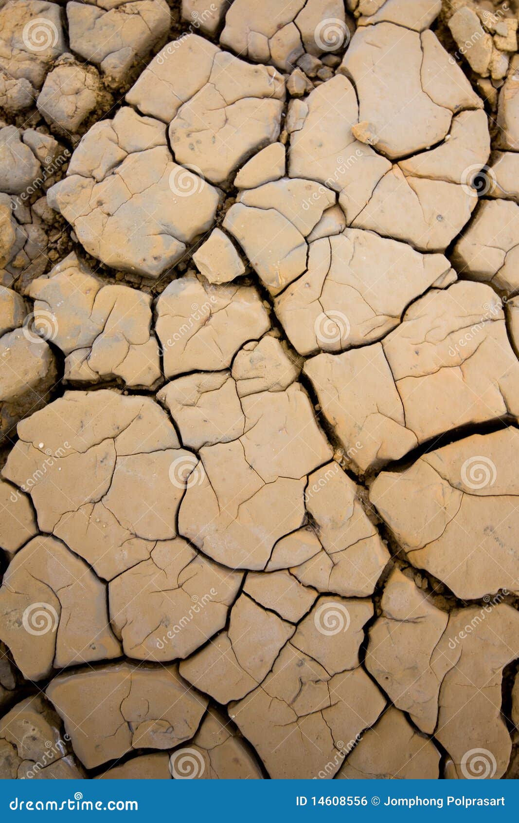 Seco foto de archivo. Imagen de pista, extracto, seco - 14608556