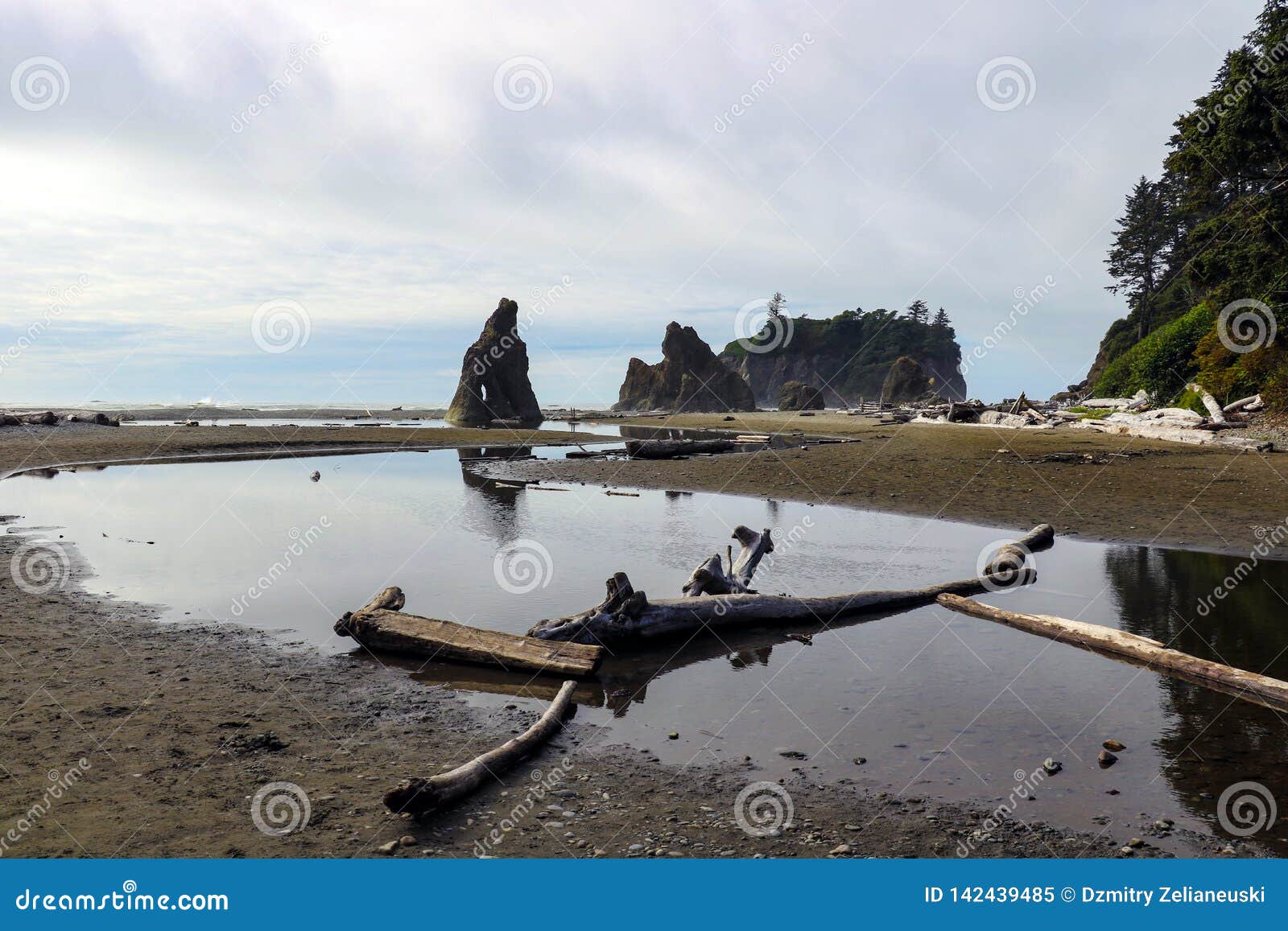 Second Beach in Olympic National Park, Washington, USA Stock Image ...