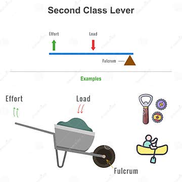 Second Class Lever with Example Vector Illustration Stock Vector ...