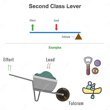 Second Class Lever with Example Vector Illustration Stock Vector ...