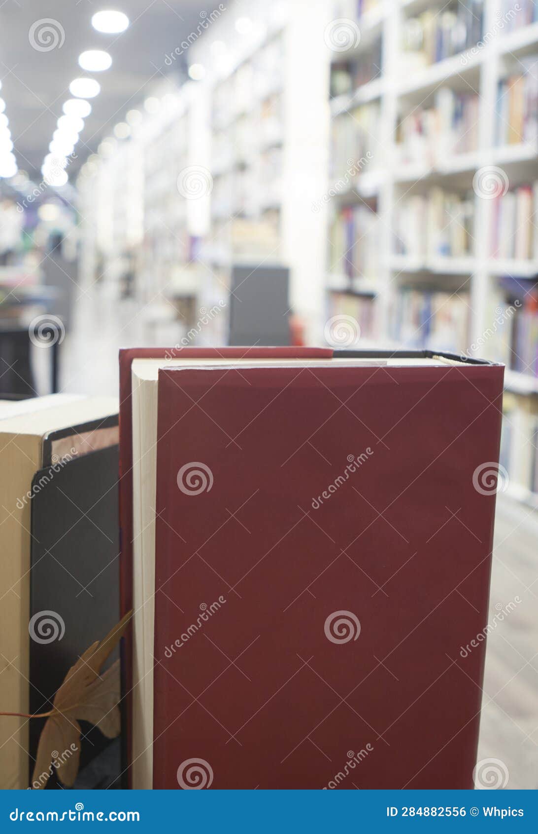 Second Hand Bookshop Background Stock Photo - Image of interior, leaf ...