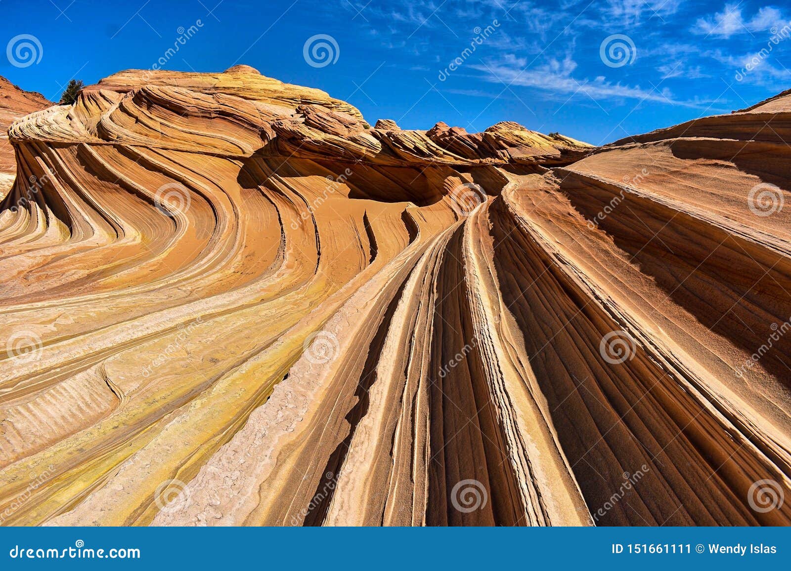 Second Wave in Coyote Buttes Stock Image - Image of second, sandstone ...