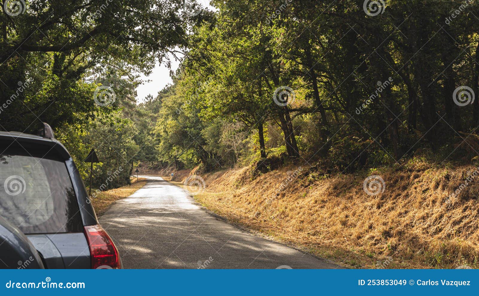 Secondary road stock image. Image of scenic, choche - 253853049