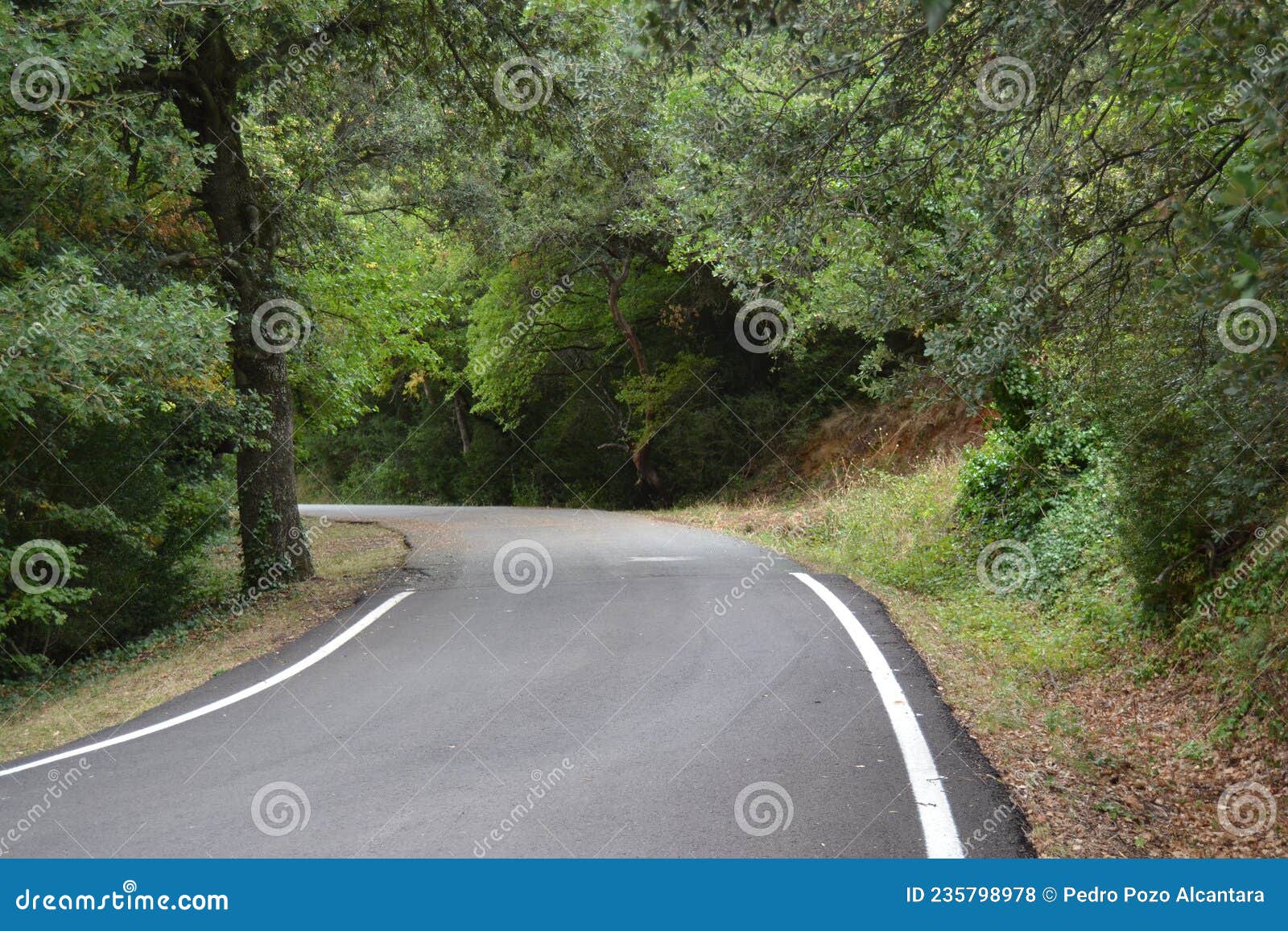 A Secondary Road To Infinity Stock Photo - Image of autumn, motion ...