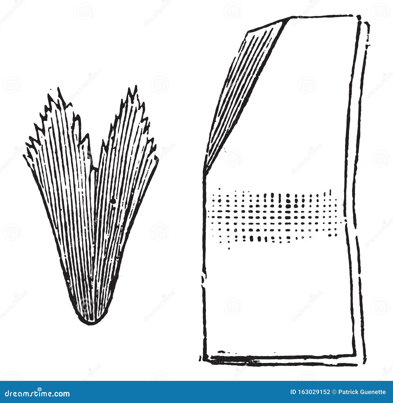 Secondary Way To Fold the Filter Paper, Vintage Engraving Stock Vector ...