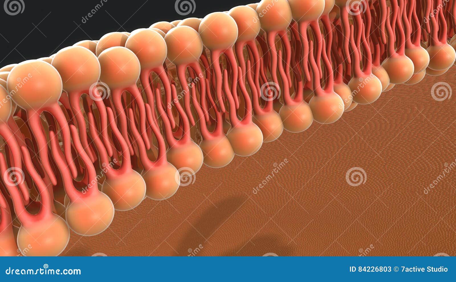 Secondo Sistema Del Messaggero Illustrazione di Stock - Illustrazione ...