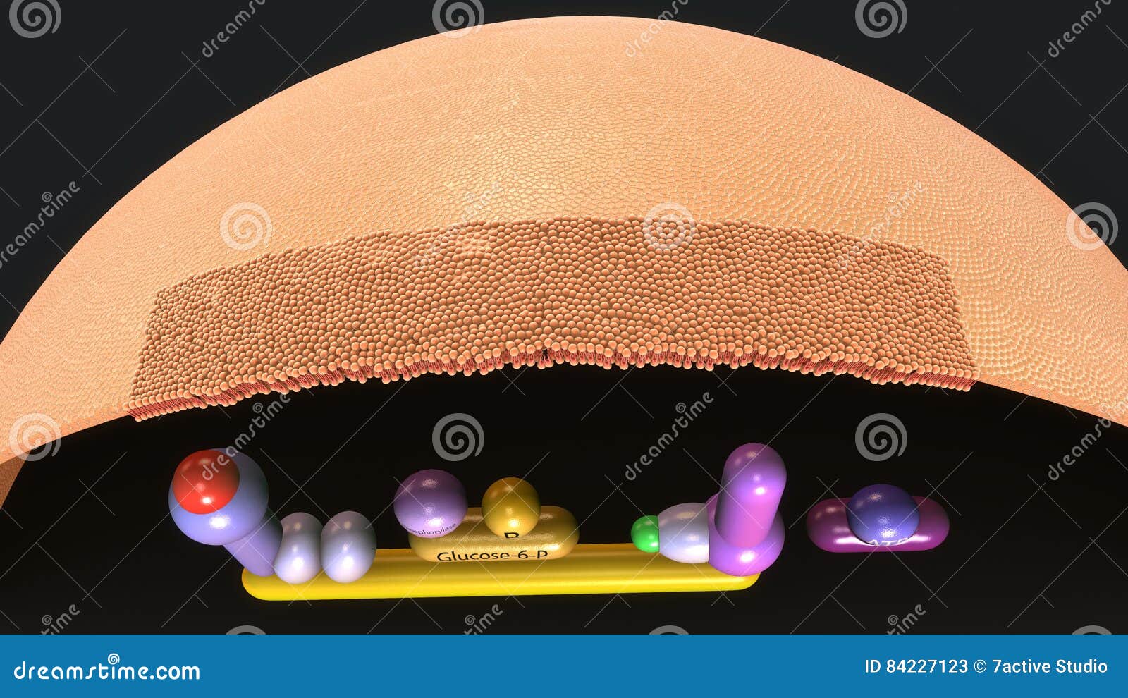 Secondo Sistema Del Messaggero Illustrazione di Stock - Illustrazione ...