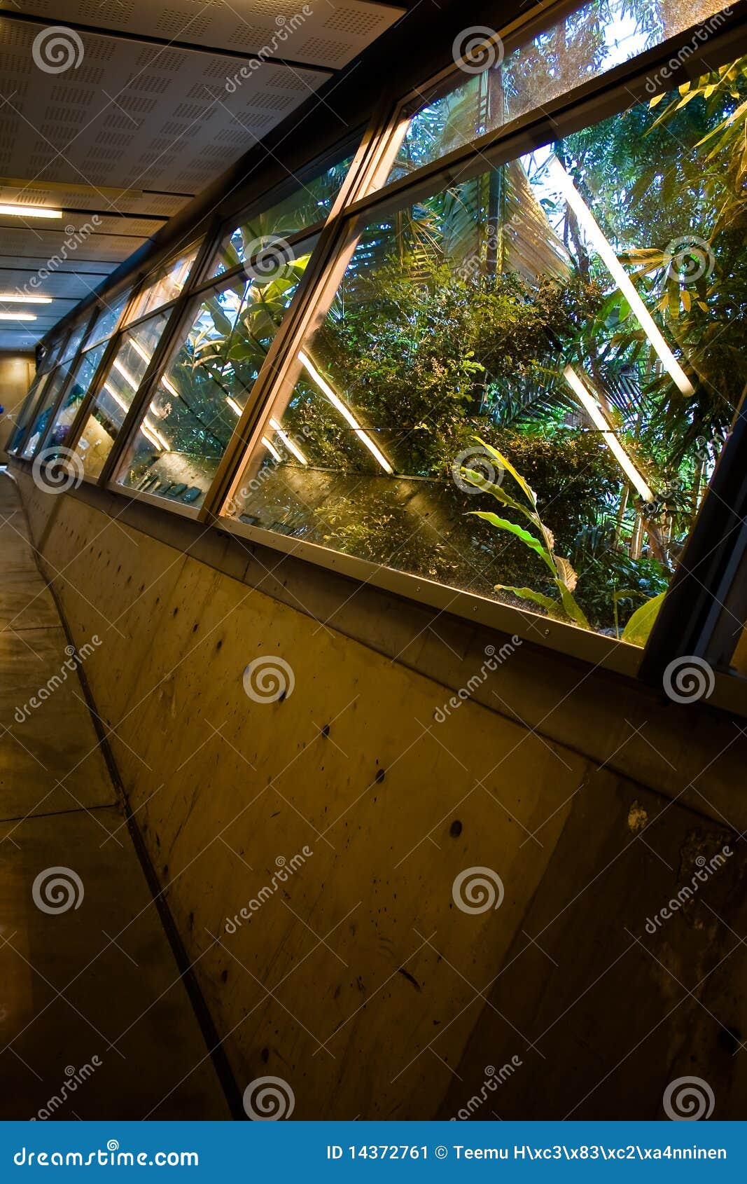 Secret base stock image. Image of observatory, rainforest - 14372761