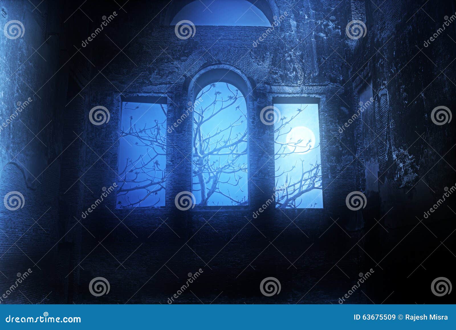 Secret Corner In Valentine Park, Turin City, Italy. Po River, Rowing ...