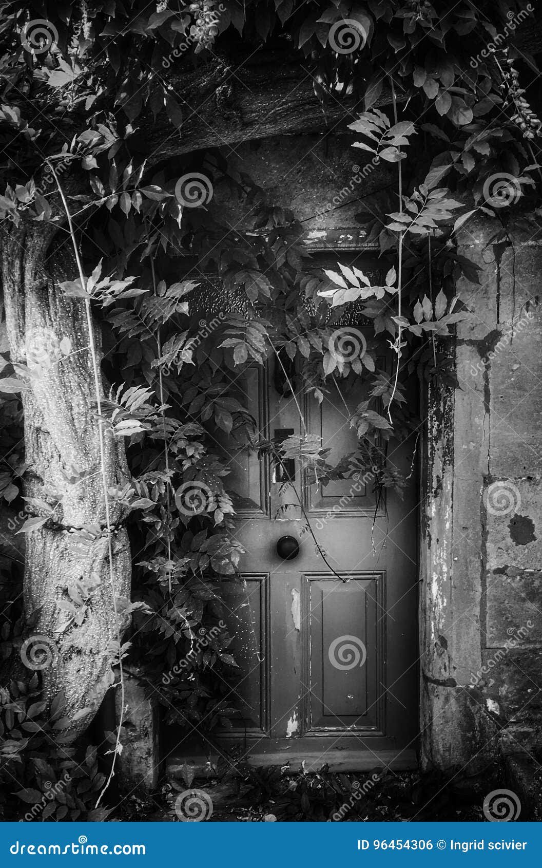 Secret door stock photo. Image of door, hidden, trees - 96454306