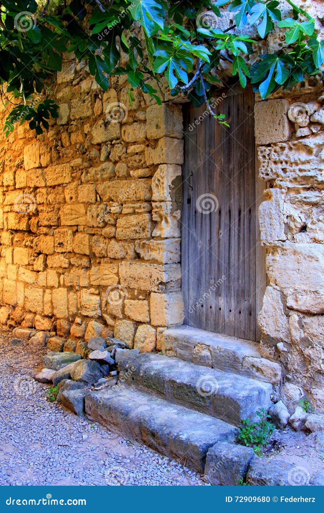 Secret Door stock photo. Image of overgrown, medieval - 72909680