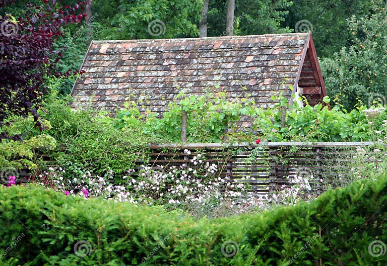 Secret garden stock photo. Image of borders, small, cypress - 15584962