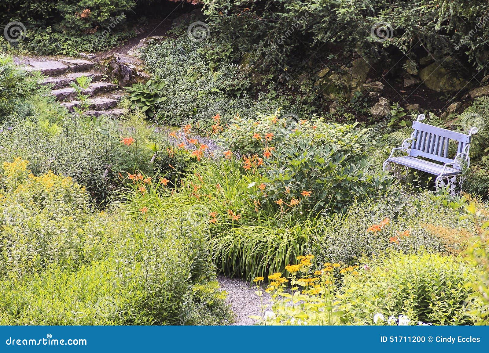 Secret Garden and Bench stock photo. Image of secluded - 51711200