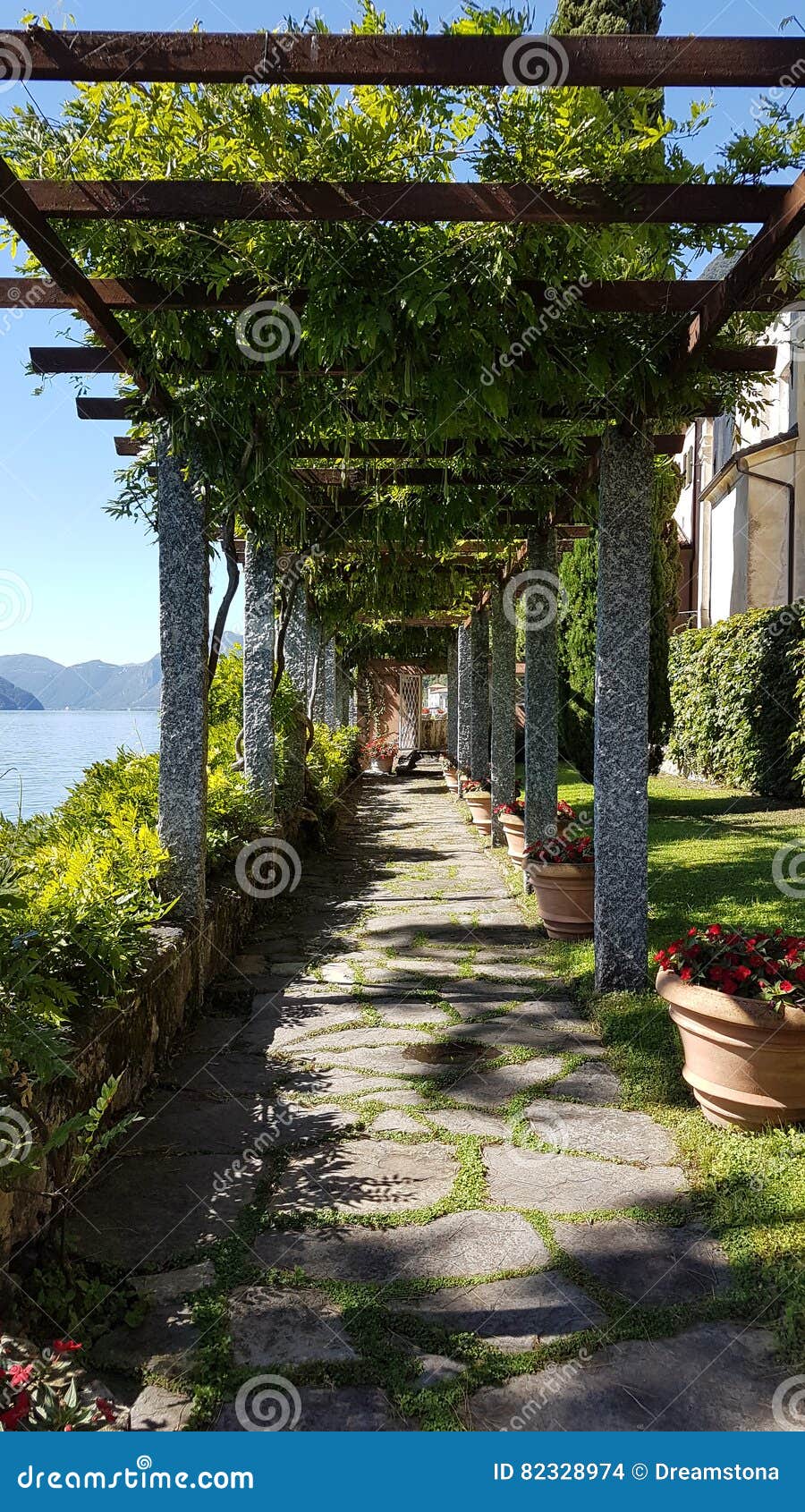 Secret garden stock photo. Image of garden, secret, nature - 82328974