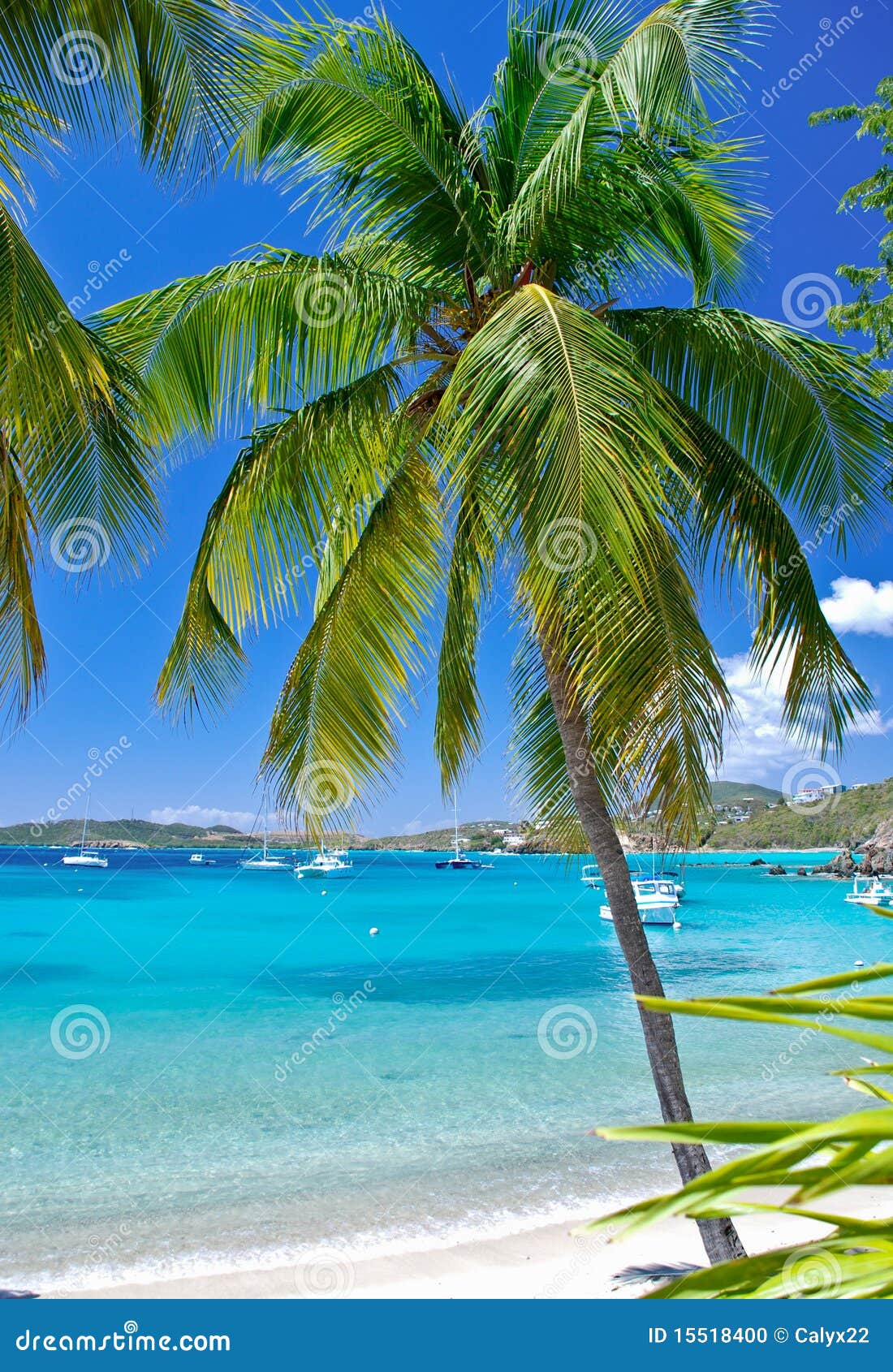 Secret Harbor, Virgin Islands Stock Photo - Image of serene, caribbean ...