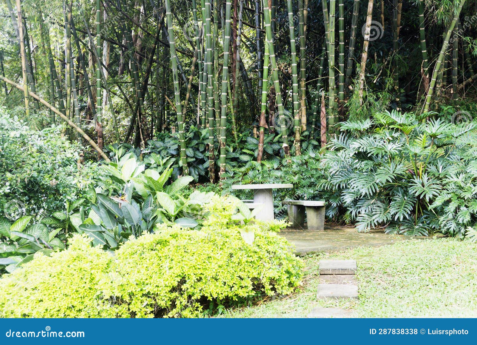 Secret hiddden garden stock photo. Image of hiddden - 287838338