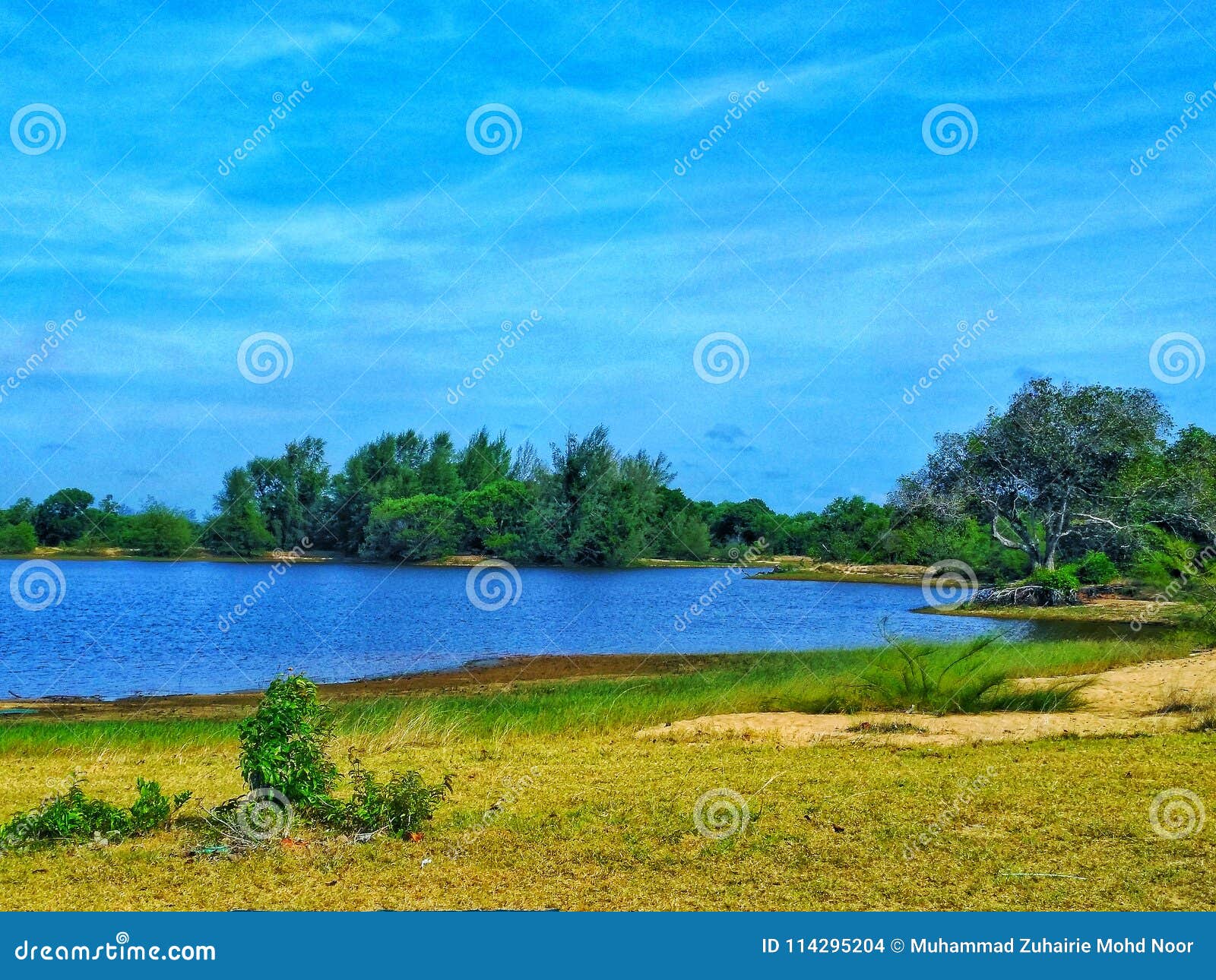 Secret lake stock photo. Image of lake, secret, unique - 114295204