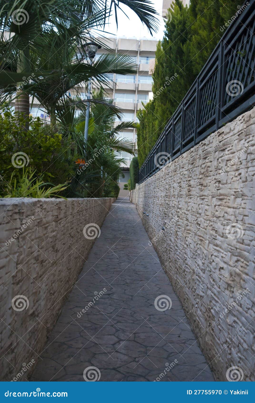 Secret passage stock photo. Image of gate, green, doorway - 27755970
