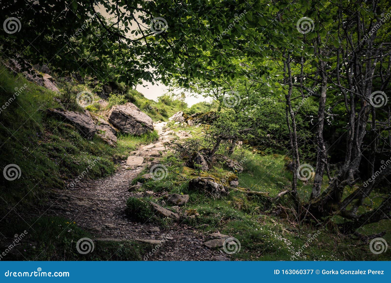 Secret path stock image. Image of outdoor, route, beautiful - 163060377