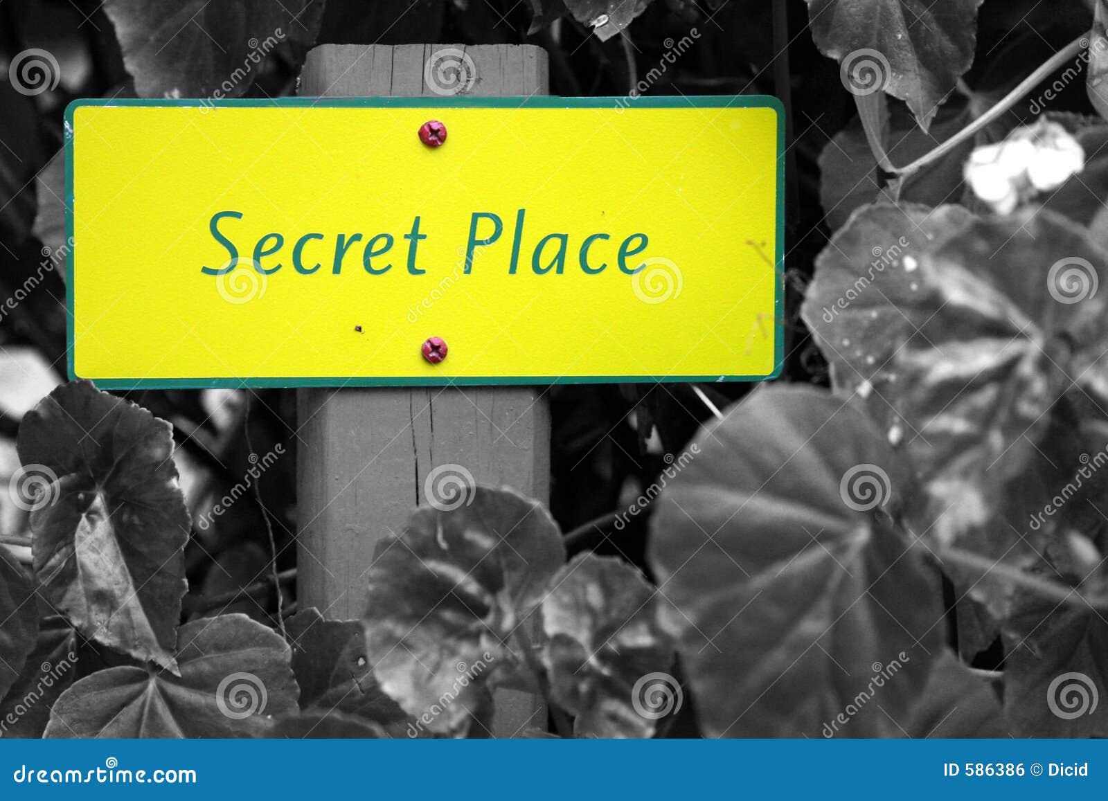 Secret Place stock photo. Image of signage, exploration - 586386