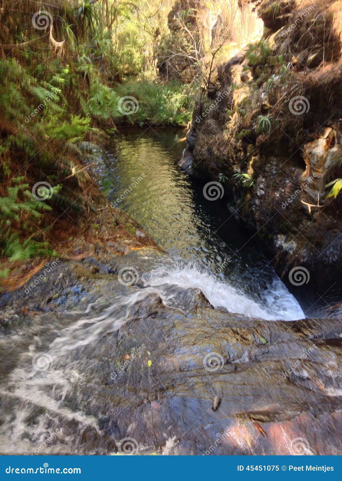 Secret pool stock image. Image of covered, secret, waterfall - 45451075