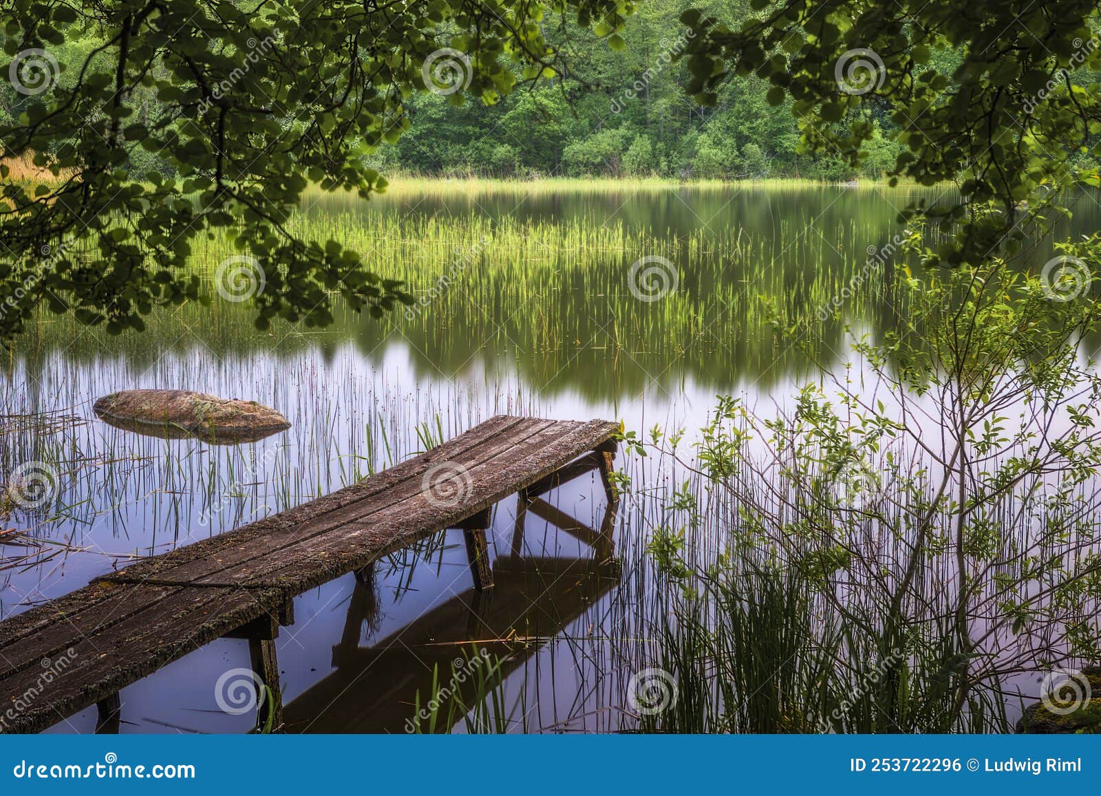 Ganty Stock Photos - Free & Royalty-Free Stock Photos from Dreamstime