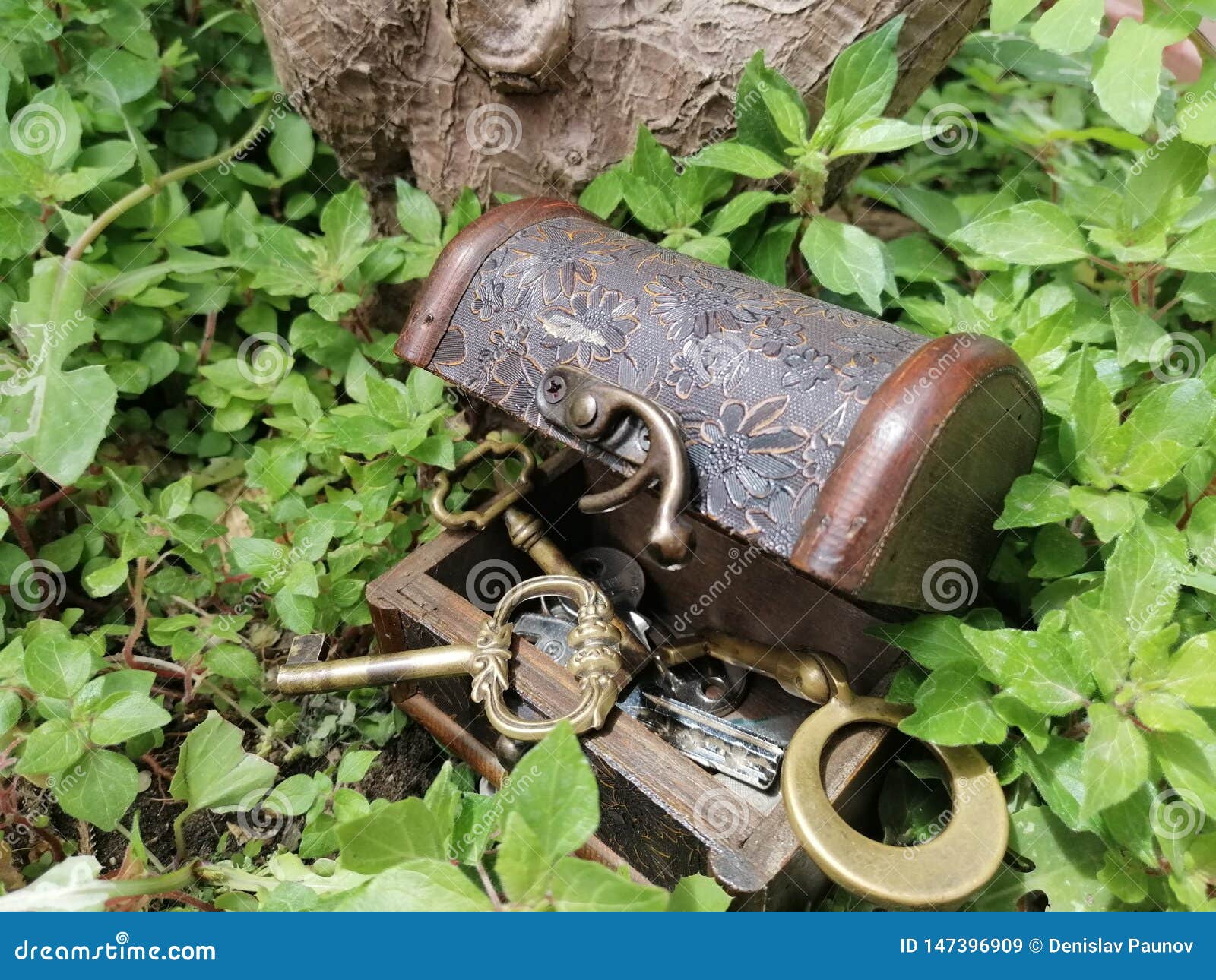 Secret stash stock image. Image of casket, hiden, stash - 147396909