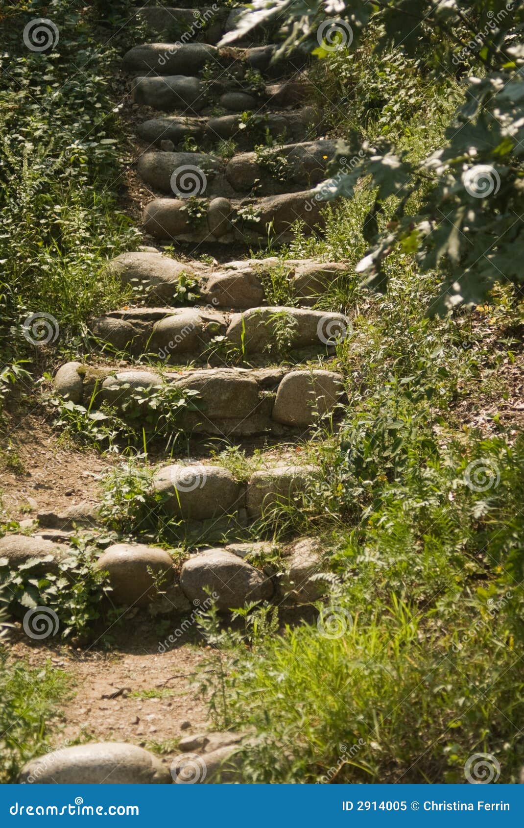 812 Secret Steps Stock Photos - Free & Royalty-Free Stock Photos from ...