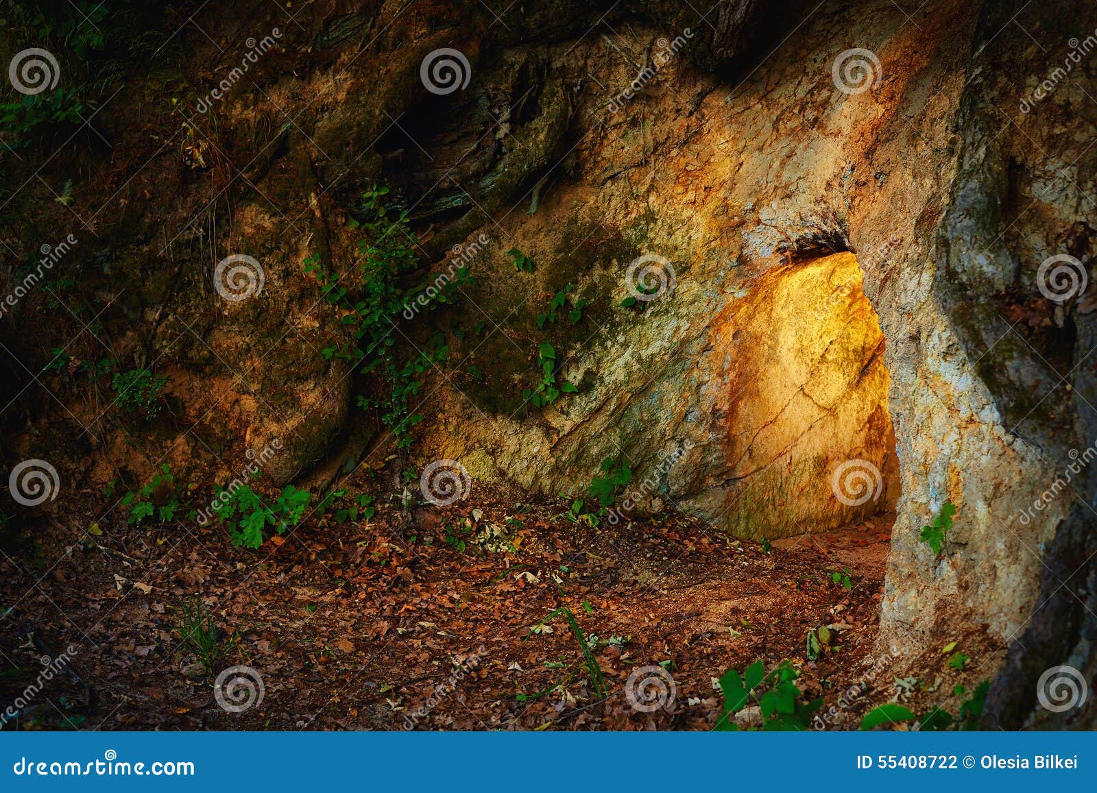 Secret Stone Cave in Dark Forest Stock Photo - Image of ghostly, eerie ...